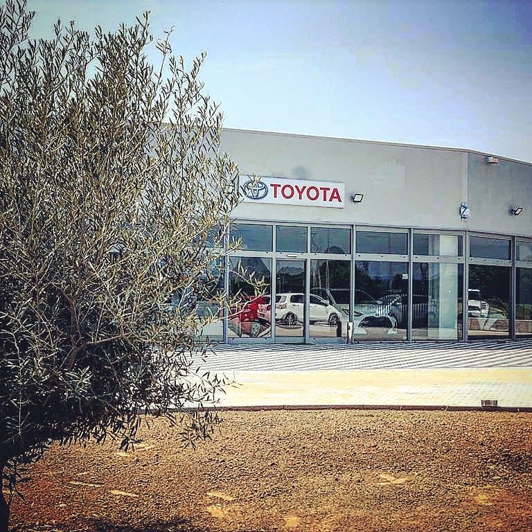 CS Motors - Concessionario Ivrea, Torino, Piemonte